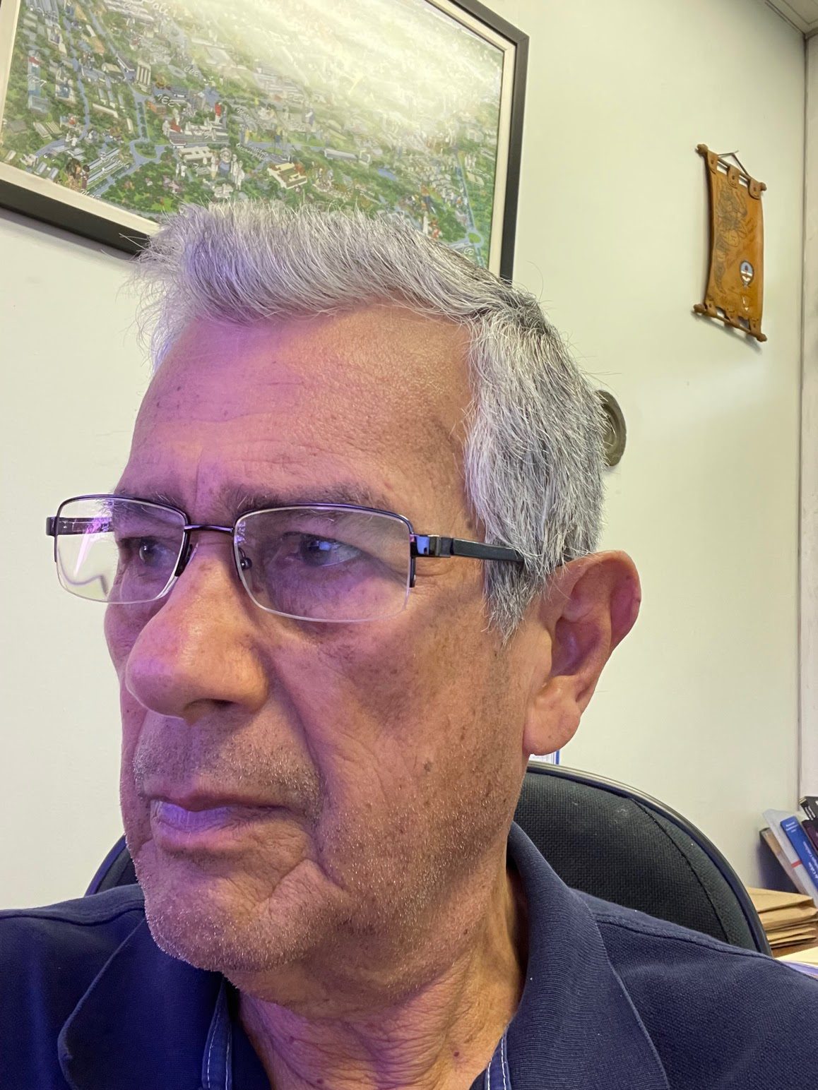 Luiz Roberto Giorgetti de Britto – ACIESP